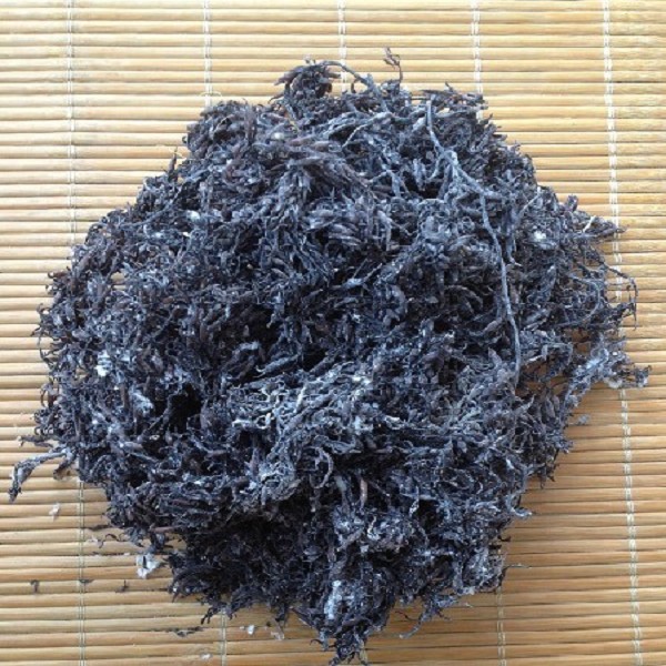 温州羊栖菜详细介绍特点 历史 温州特产 特色谷