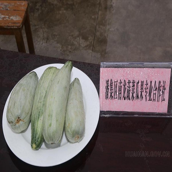 潘集酥瓜详细介绍特点 淮南特产 特色谷