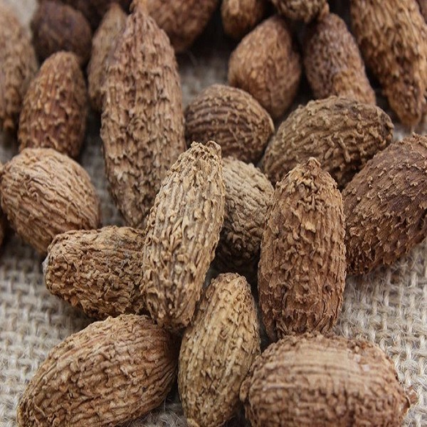 春砂仁详细介绍特点 历史 阳春特产 特色谷