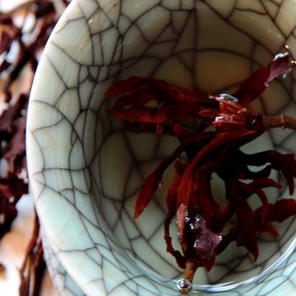 白兰花茶详细介绍特点 历史 东阳特产 特色谷