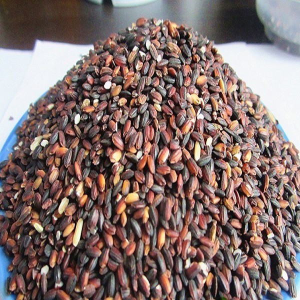 紫鹊界紫米详细介绍 新化特产 特色谷