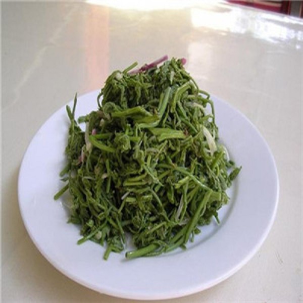 牙克石柳蒿芽详细介绍特点 历史 牙克石特产 特色谷