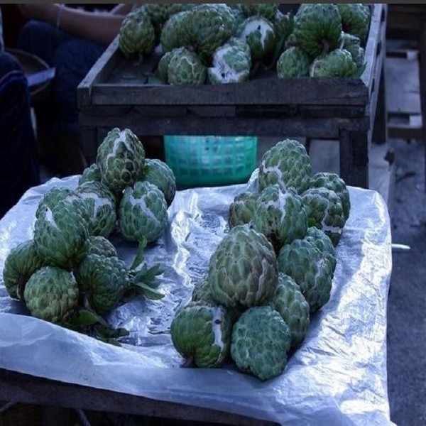 善荔枝详细介绍特点 瑞丽特产 特色谷