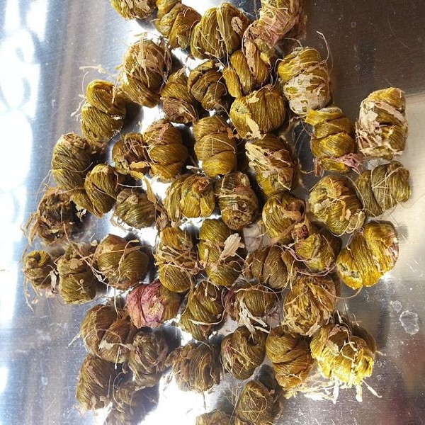 芒市石斛详细介绍特点 历史 芒市特产 特色谷