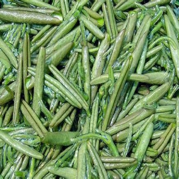 马湖莼菜详细介绍特点 历史 雷波特产 特色谷