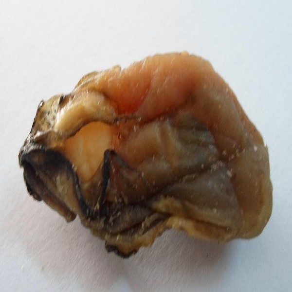 台山蚝详细介绍特点 鉴别 台山特产 特色谷