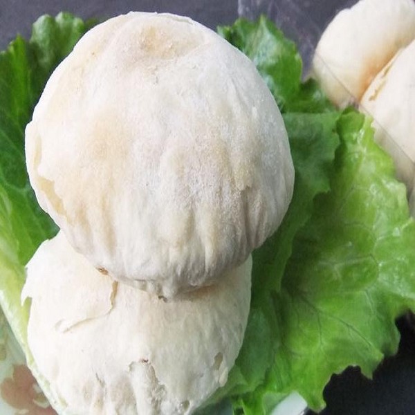 荷月酥详细介绍特点 历史 汉川特产 特色谷