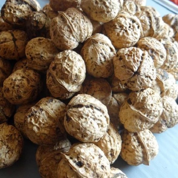 景东核桃详细介绍特点 历史 景东特产 特色谷