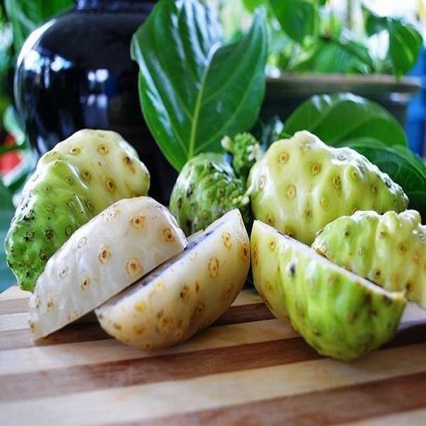 诺尼果详细介绍：特点 历史 - 海南特产 - 特色谷